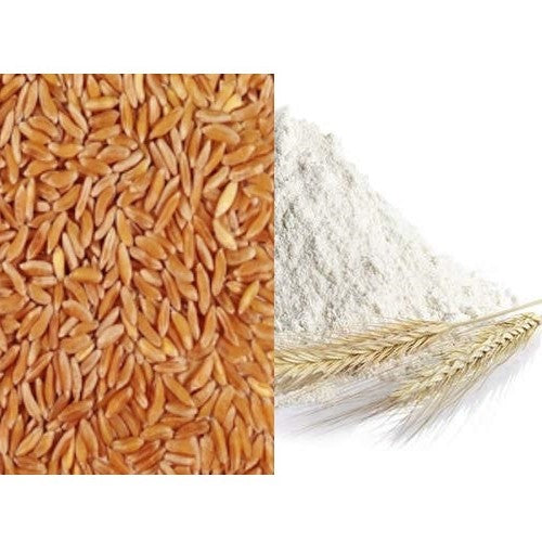 Organic Long Wheat ( Jave ) flour (atta) – HealthyOrganic